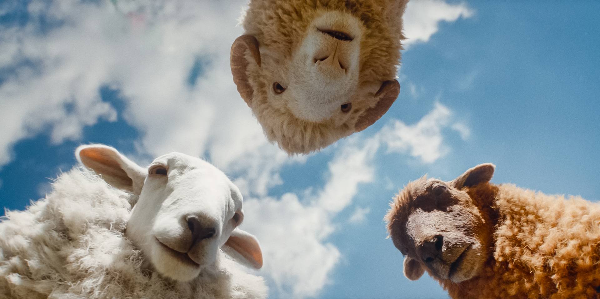 The Sheep Detectives | Sony Pictures United Kingdom