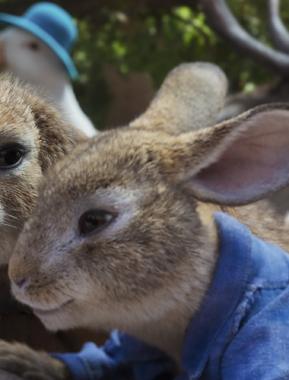 Peter Rabbit 2 | Sony Pictures United Kingdom
